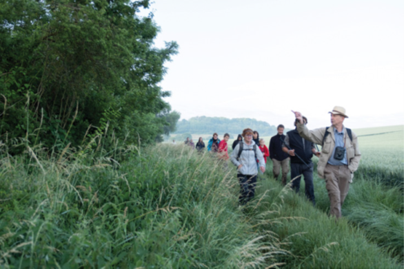 Balade à l’éveil de la nature avec Alsace nature à Kuttolsheim - Maxi ...